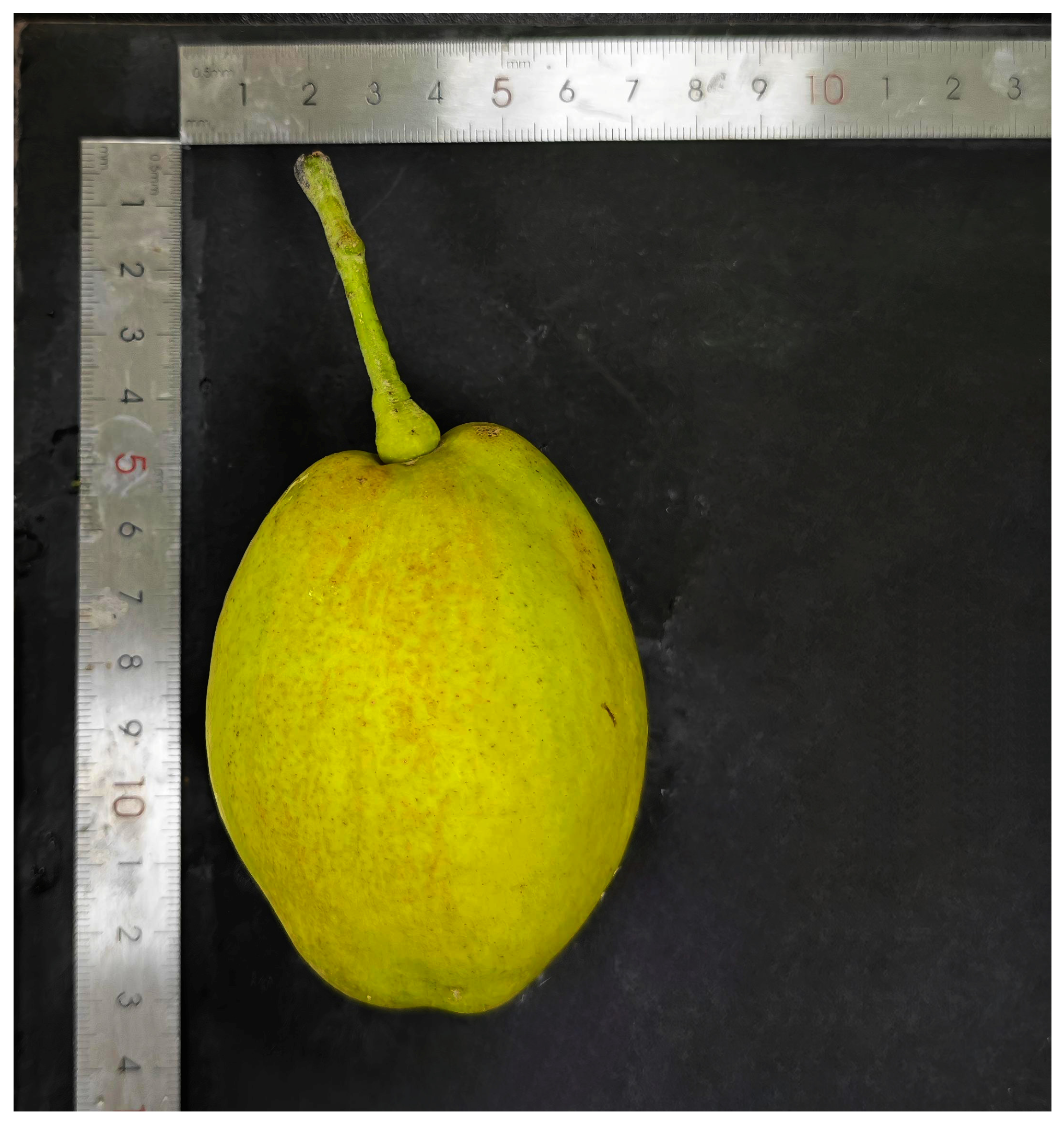 Use of Machine Learning Techniques for Fertilization Traceability ...