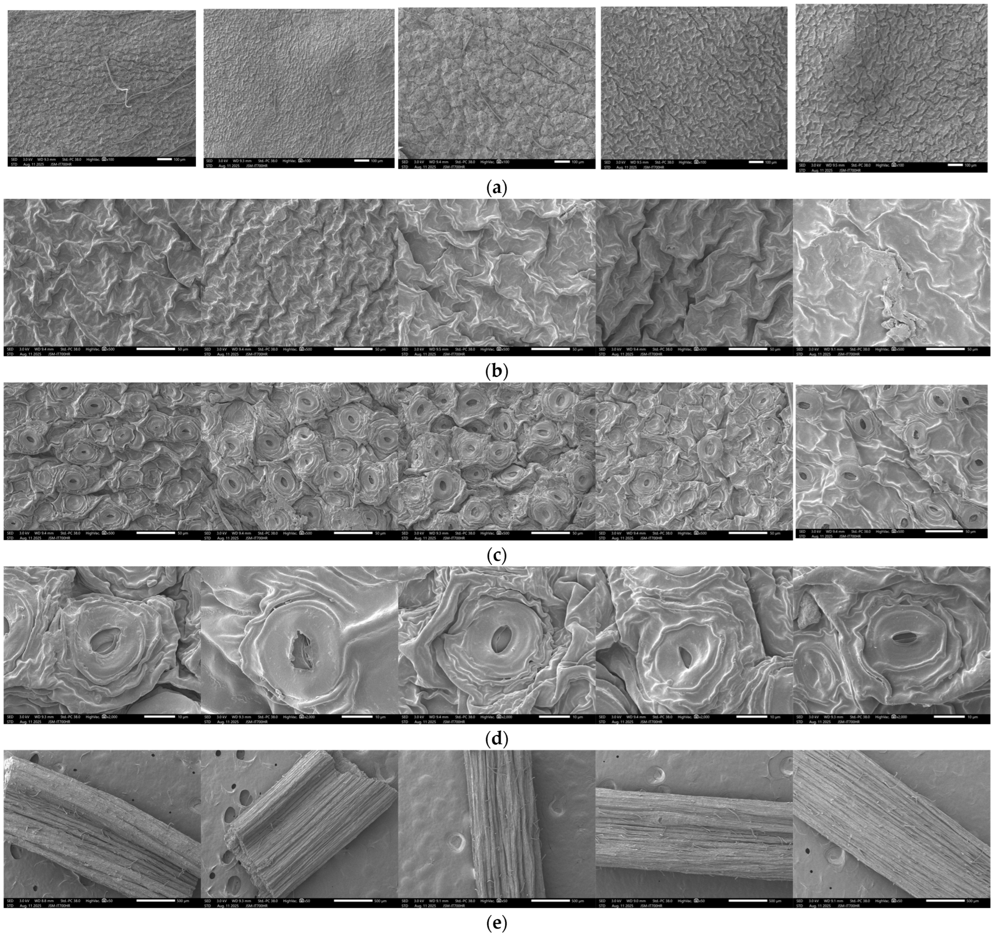 Predicting and Co-Optimizing the Taste and Aroma of Green Tea During ...