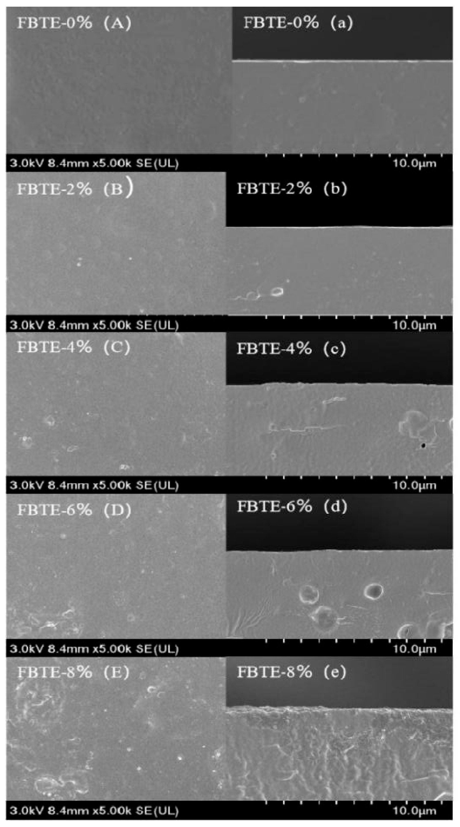 Composite Active Packaging Film of Zein, Citric Acid, and FBTE ...