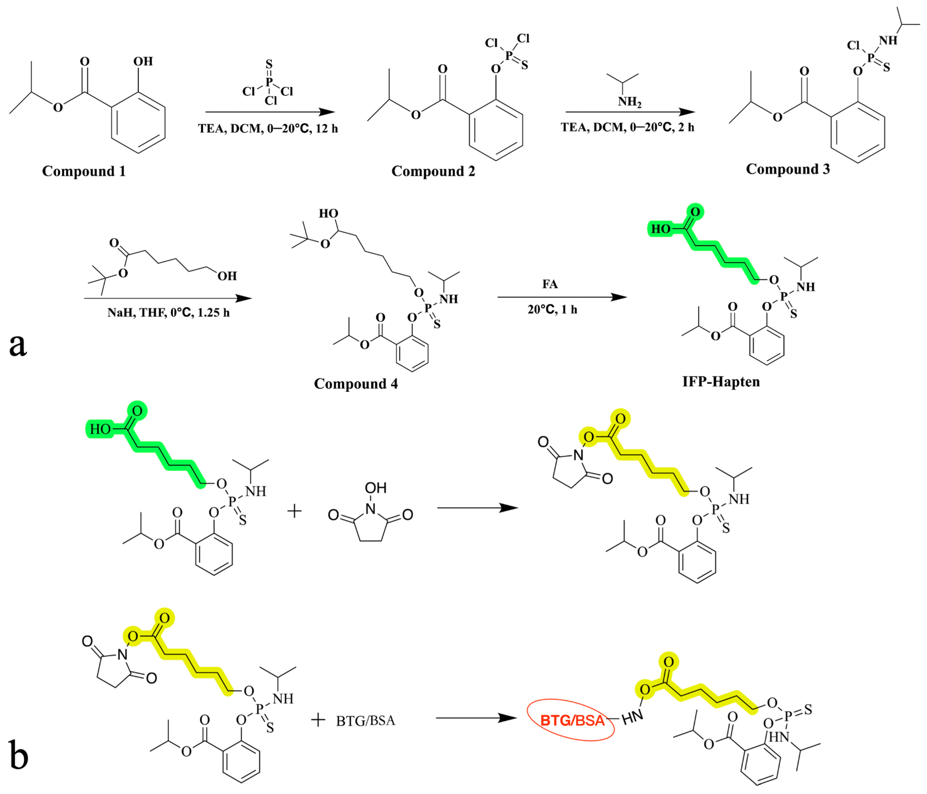 The Hapten Design, Monoclonal Antibody Preparation, and Immunoassay ...