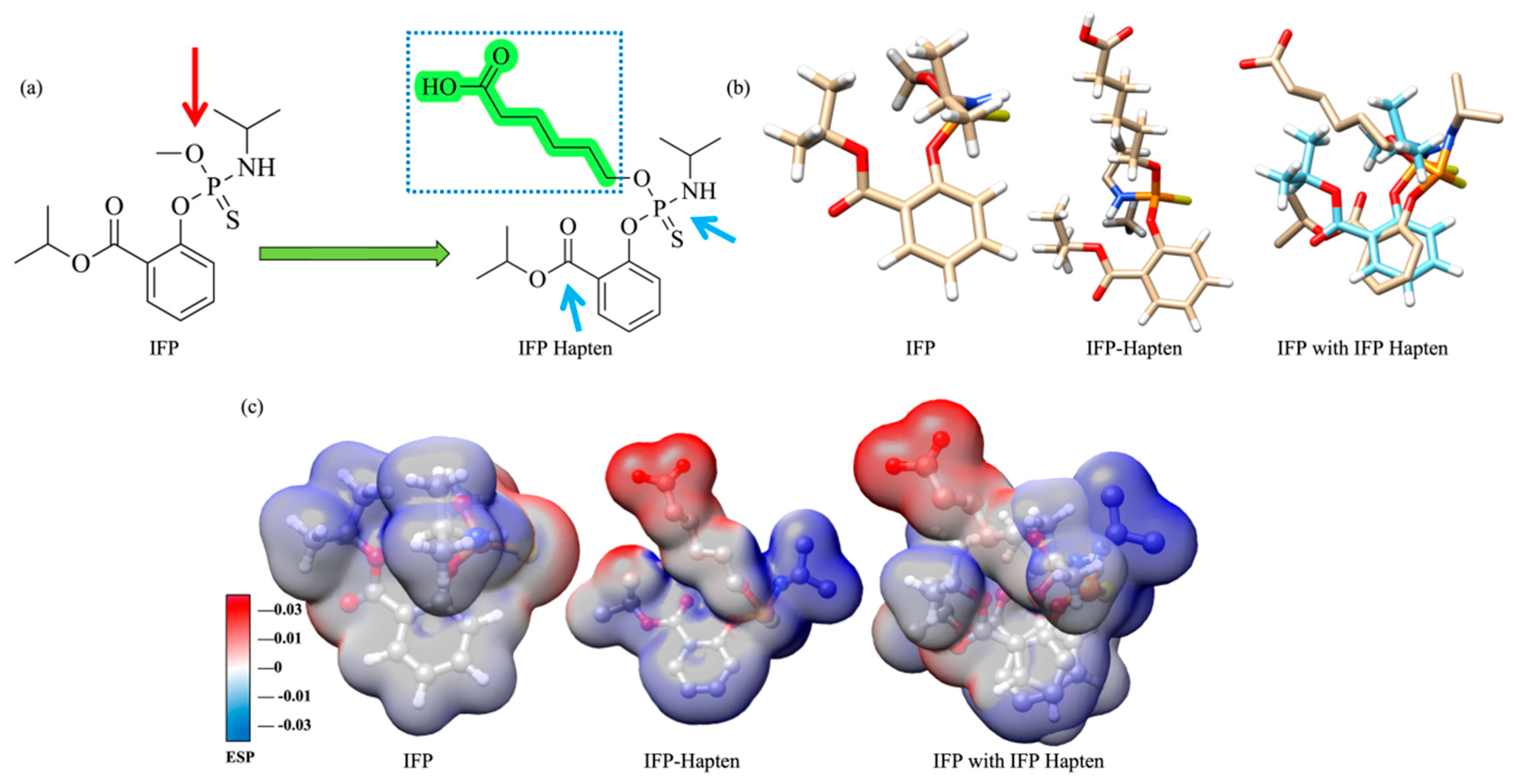 The Hapten Design, Monoclonal Antibody Preparation, and Immunoassay ...