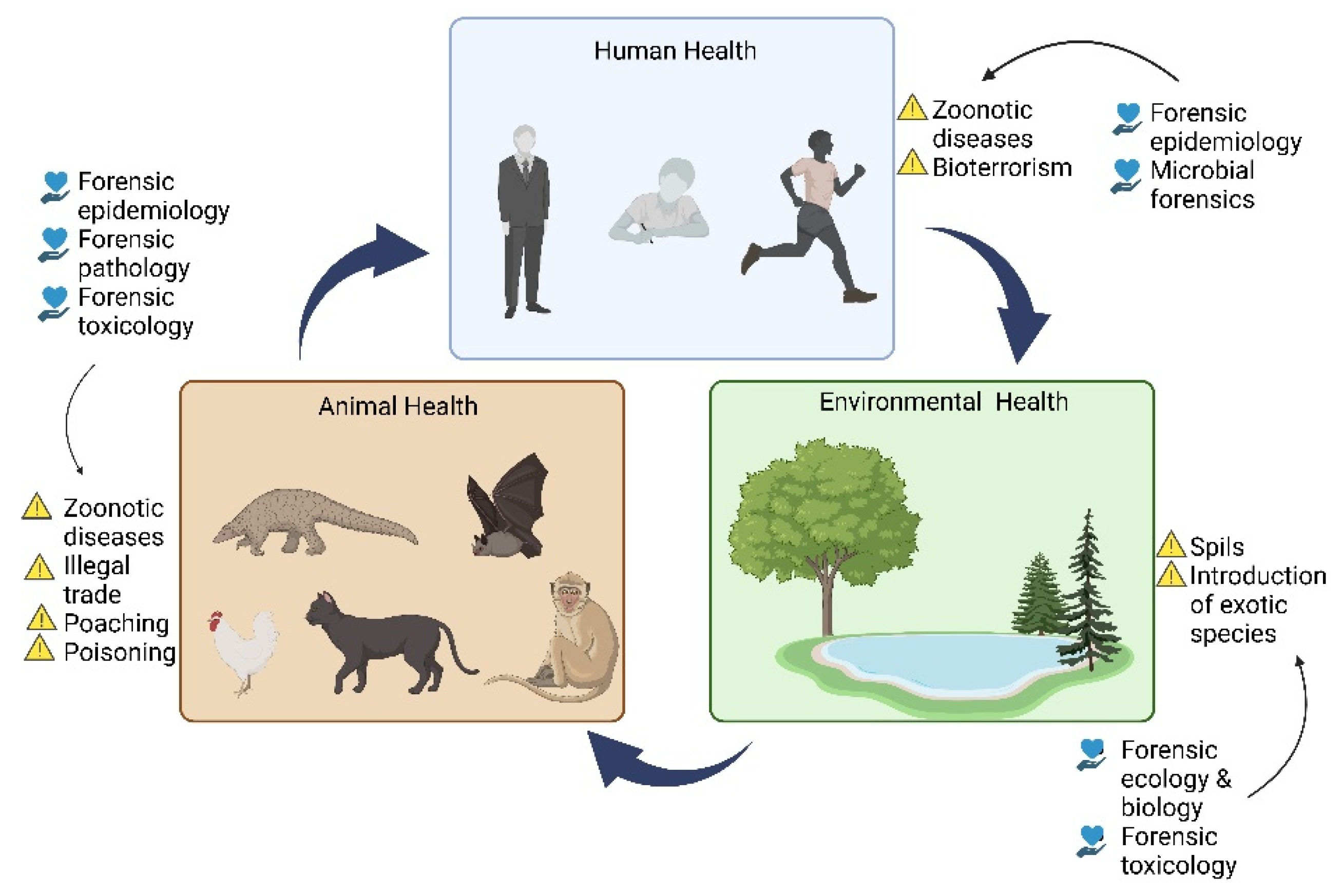Forensic Sciences Free Full Text Wildlife Forensic Sciences A Tool Forensic Sciences Free Full Text Wildlife Forensic Sciences A Tool