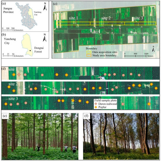 Forests | Free Full-Text | Comparison of UAV LiDAR and Digital Aerial ...