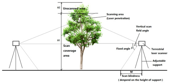 A Novel Tree Height Extraction Approach for Individual Trees by ...
