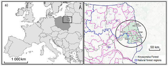 Forests | Free Full-Text | A Method for the Development of Dynamic Site Index Models Using ...