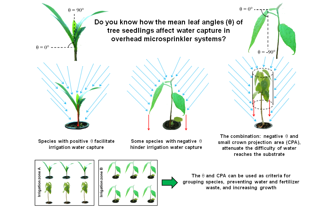 Influence of Mean Leaf Angles and Irrigation Volumes on Water Capture ...