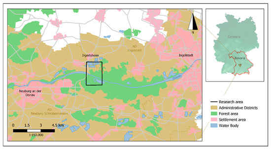 Influence of Forest Stand Structure and Competing Understory Vegetation ...