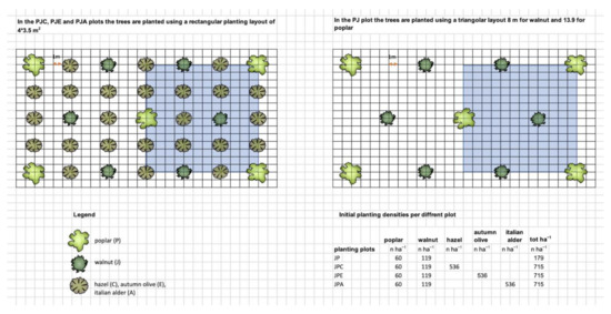 Mixed-Species Plantation Effects on Soil Biological and Chemical ...