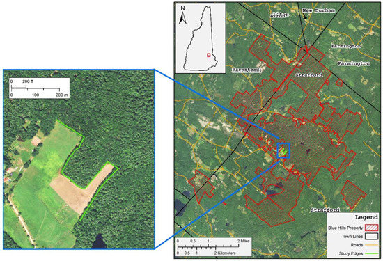Evaluating the Capability of Unmanned Aerial System (UAS) Imagery to ...