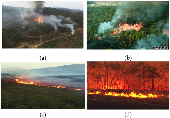 STPM_SAHI: A Small-Target Forest Fire Detection Model Based on Swin ...
