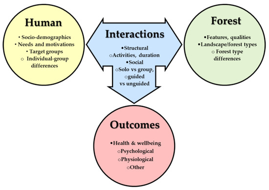 Forests | Free Full-Text | Forest Therapy Trails: A Conceptual ...