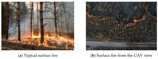 FCDM: An Improved Forest Fire Classification and Detection Model Based on YOLOv5
