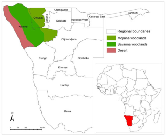 Socio-Economic Benefits of Colophospermum mopane in a Changing Climate ...