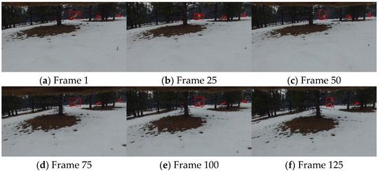 MS-FRCNN: A Multi-Scale Faster RCNN Model for Small Target Forest Fire ...