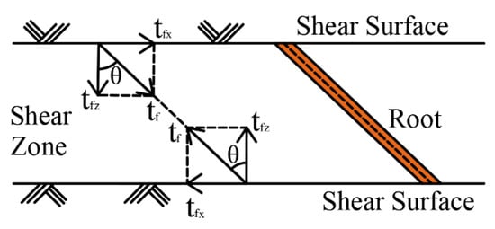 An Estimation Model of the Ultimate Shear Strength of Root-Permeated ...