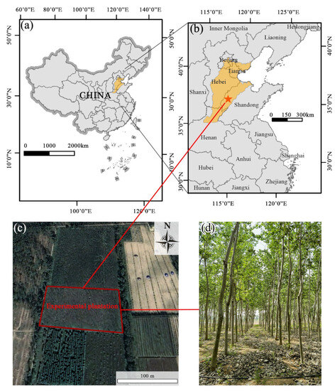 Correction: Tan et al. Response of Fine-Root Traits of Populus ...