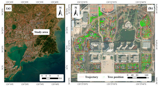 Assessing the Performance of Handheld Laser Scanning for Individual ...