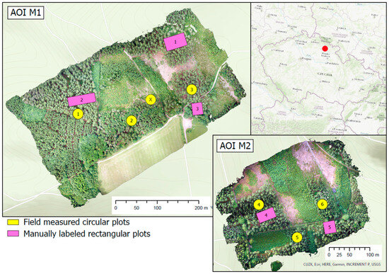 A Tree Segmentation Algorithm For Airborne Light Detection And Ranging Data Based On Graph