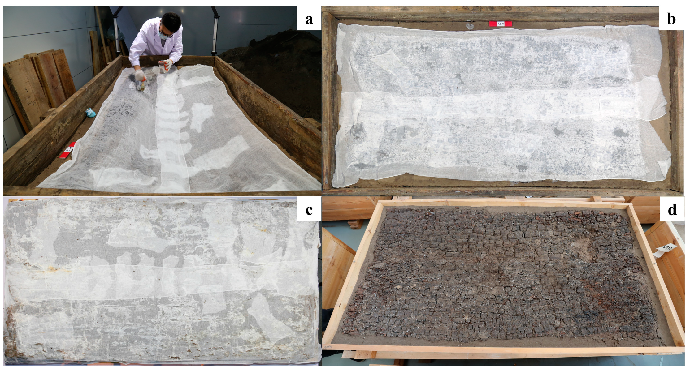 Menthol Based Extraction Of Fragile Wooden Coffin Lid 7 10th Centuries Menthol Based Extraction Of Fragile Wooden Coffin Lid 7 10th Centuries