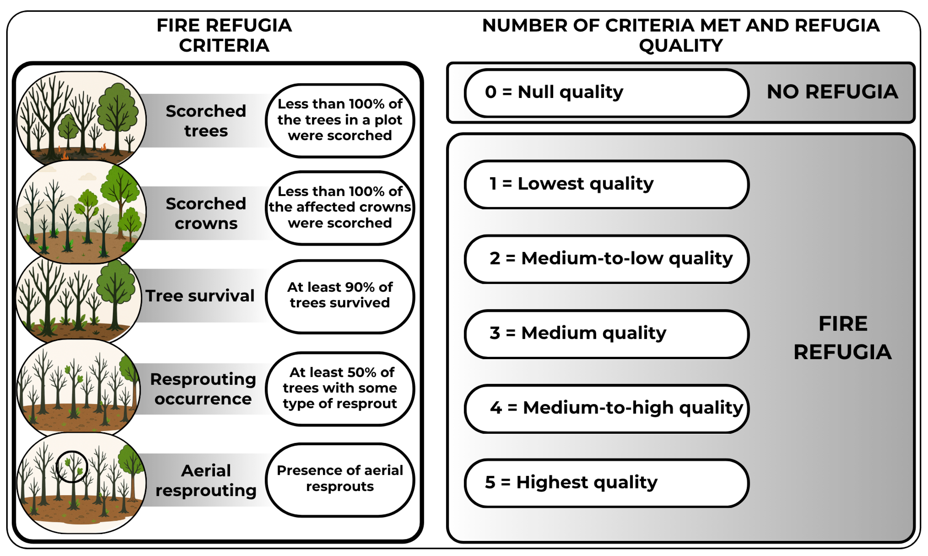 First Characterization of Megafire Refugia in a South American ...