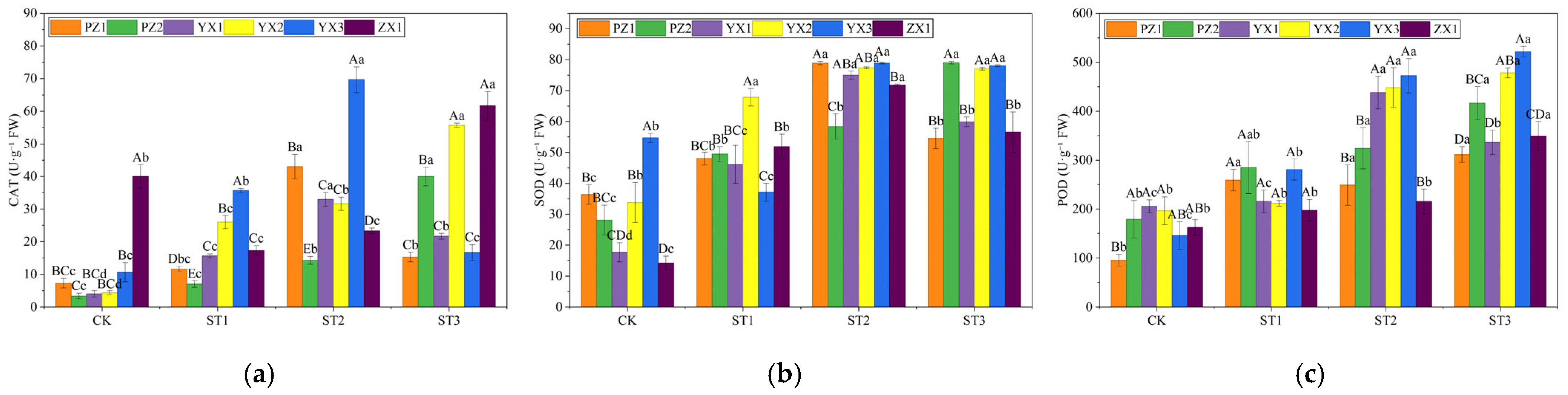 Effects of Salt Stress on the Physiology and Biochemistry of Six Poplar ...