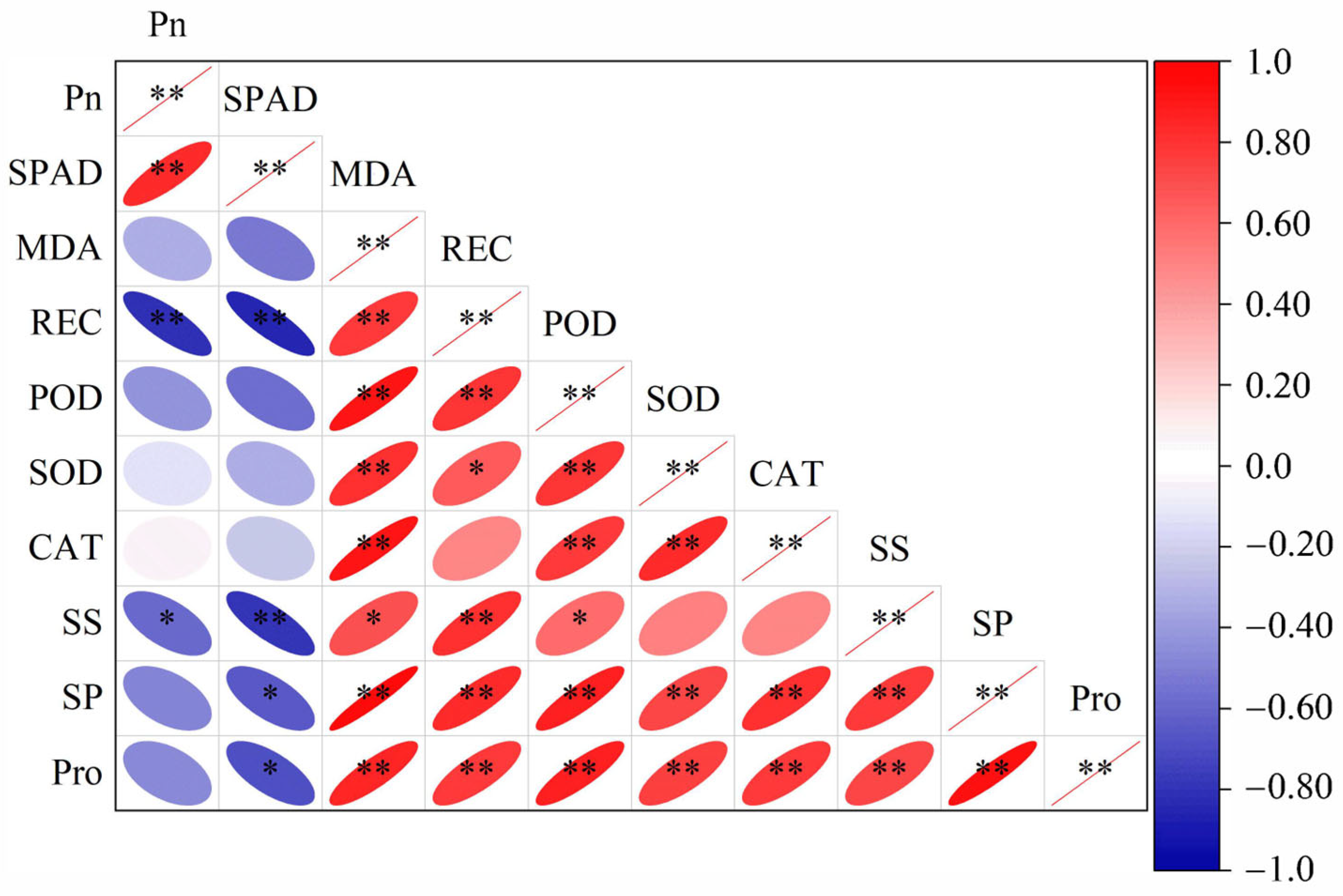 Effects of Salt Stress on the Physiology and Biochemistry of Six Poplar ...