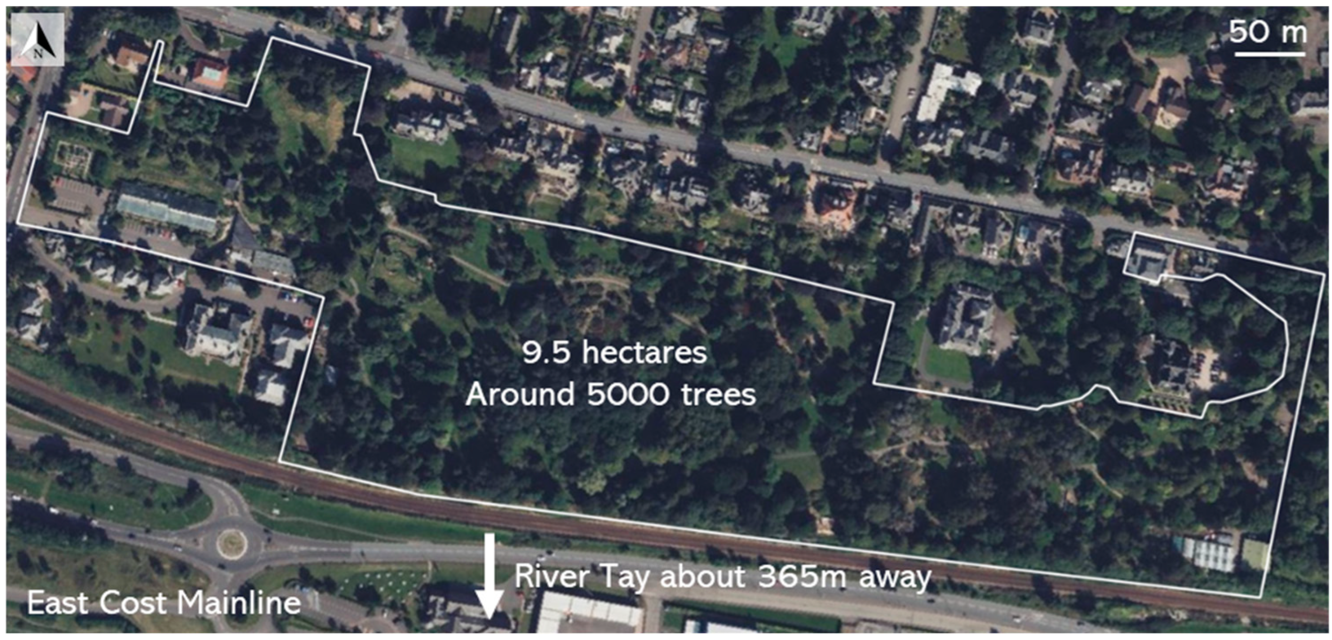 On the Uprooting Stability of Trees: Combined Loading Effect on Tree ...