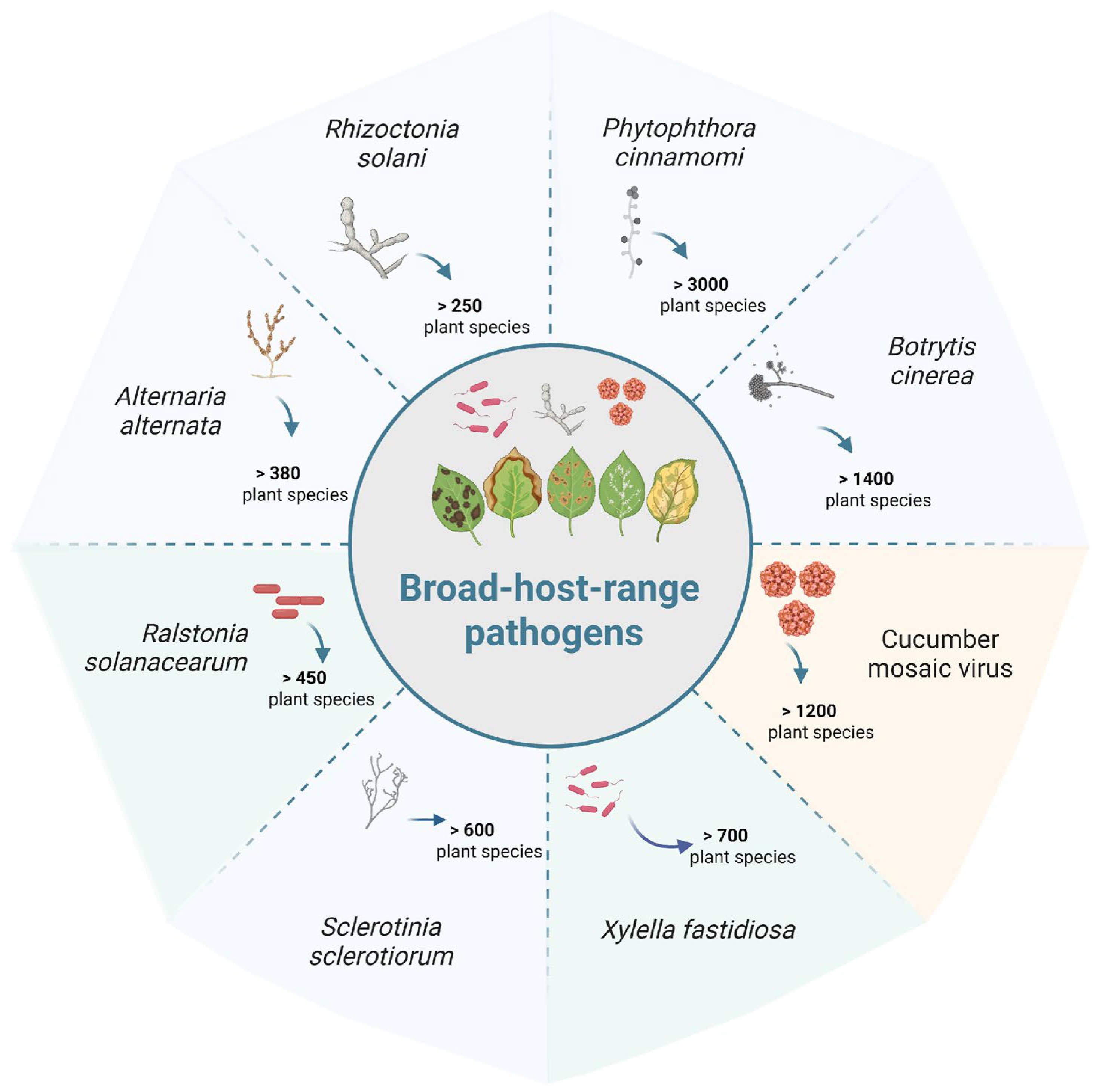 Cross-Ecosystem Transmission of Pathogens from Crops to Natural Vegetation