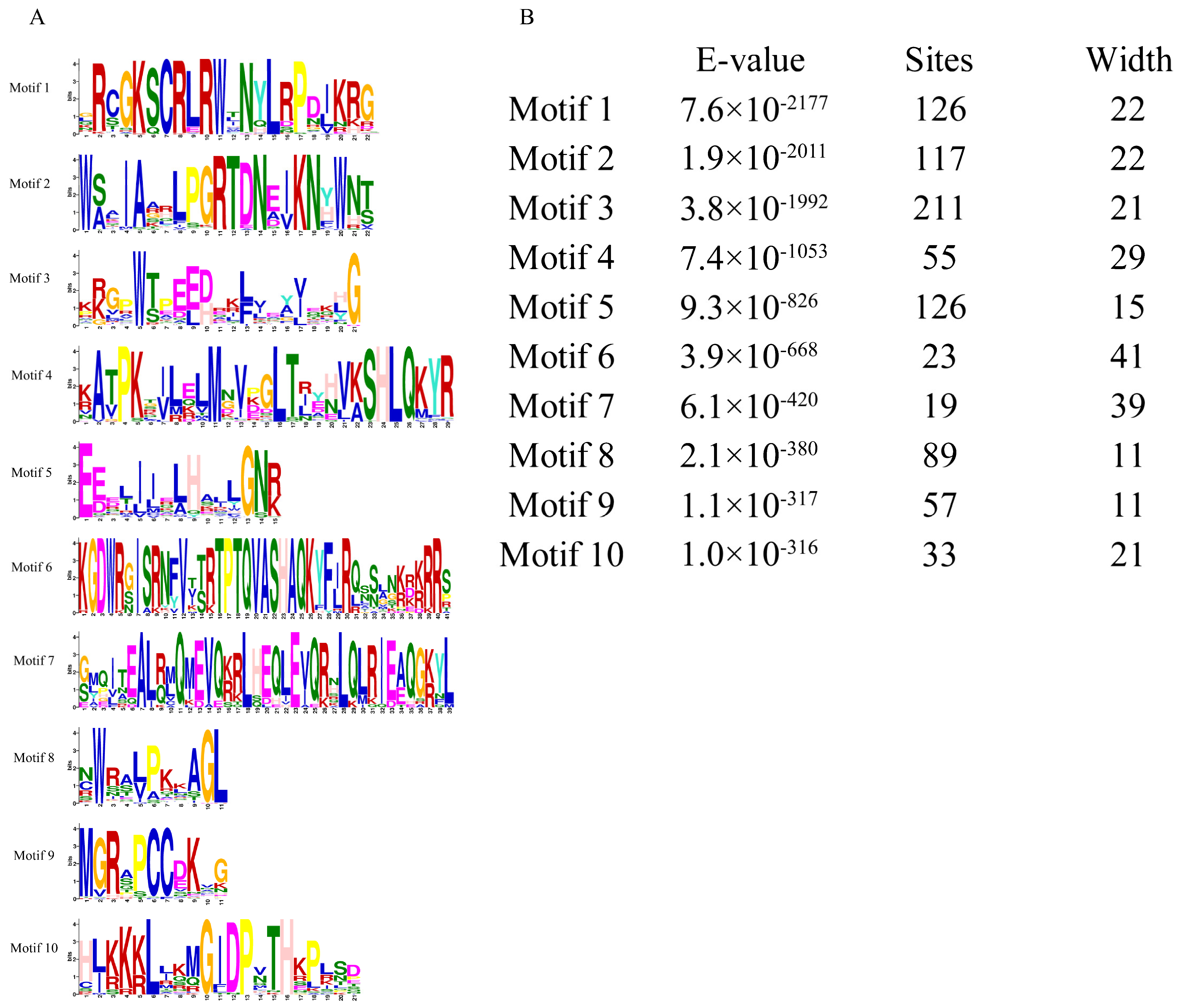 Genome-Wide Identification of the MYB Transcription Factor Family in ...