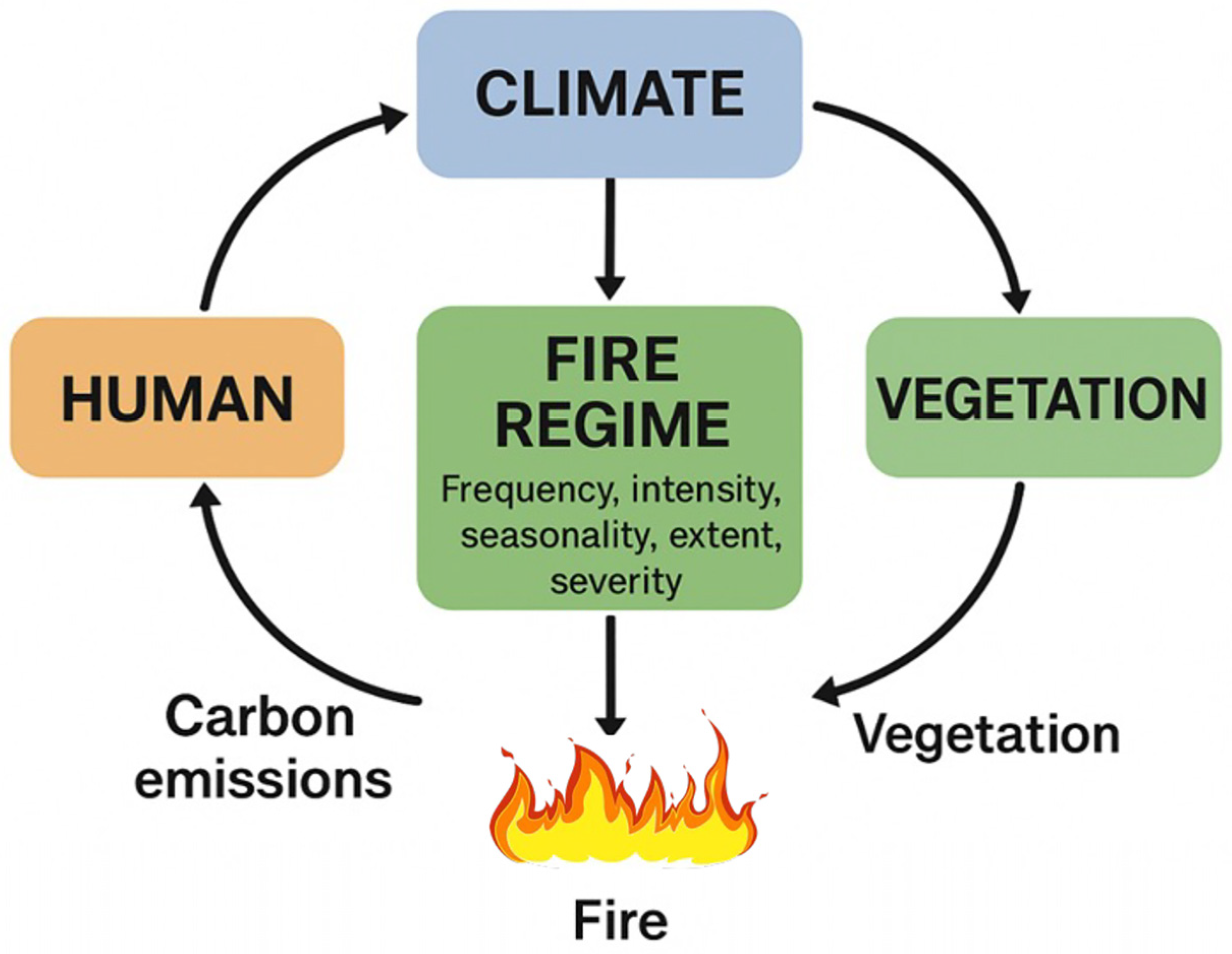 Global Shifts in Fire Regimes Under Climate Change: Patterns, Drivers ...