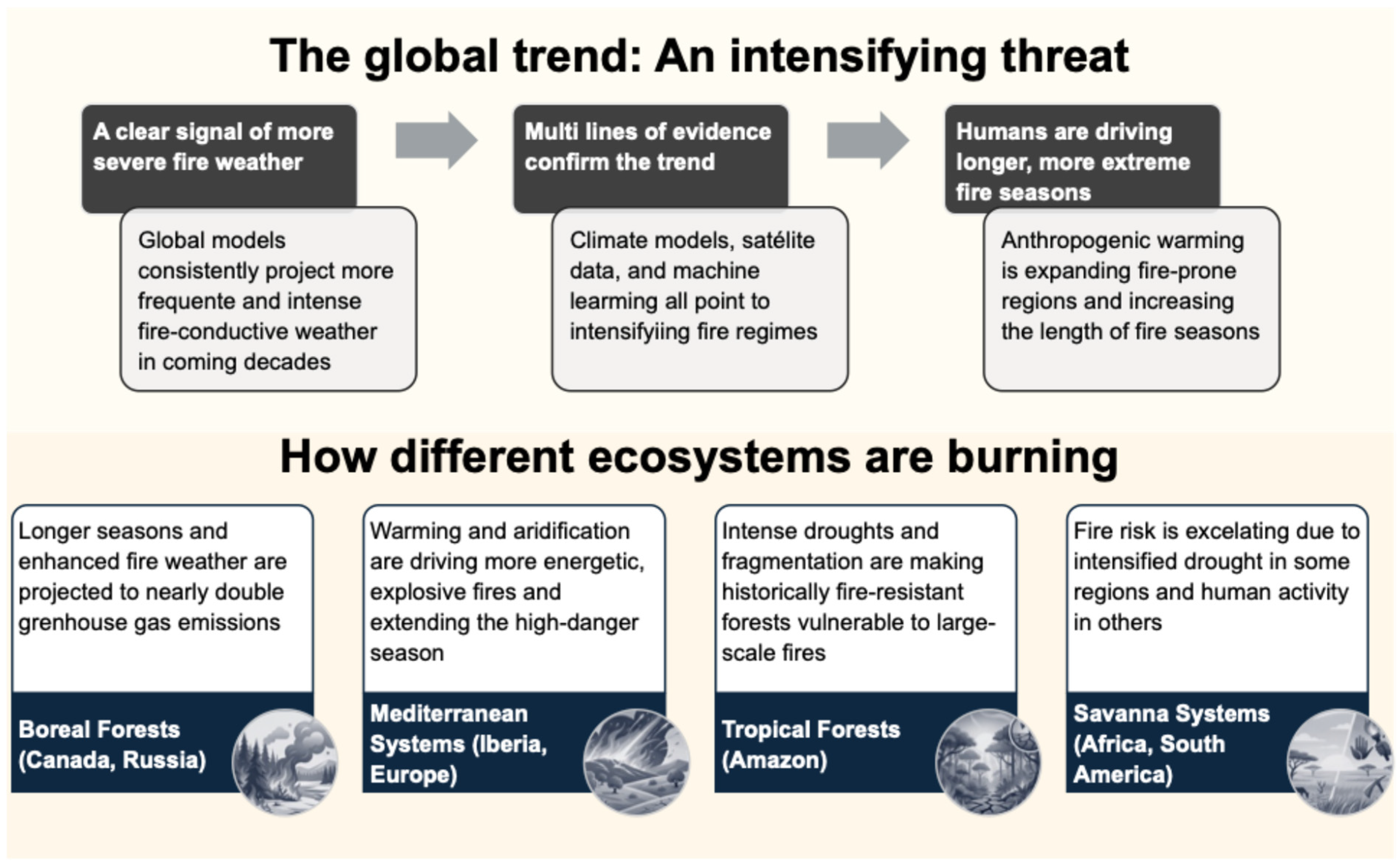 Global Shifts in Fire Regimes Under Climate Change: Patterns, Drivers ...