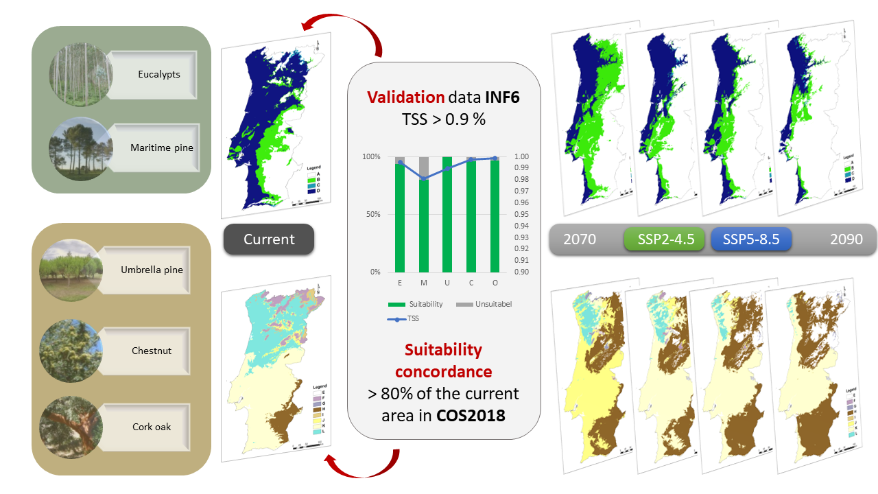 Climate-Informed Afforestation Planning in Portugal: Balancing Wood and ...