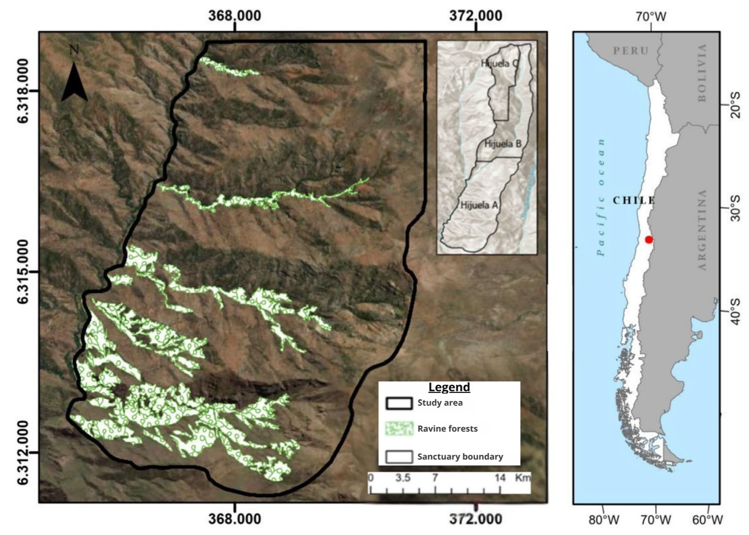 Topographic Modulation of Vegetation Vigor and Moisture Condition in ...
