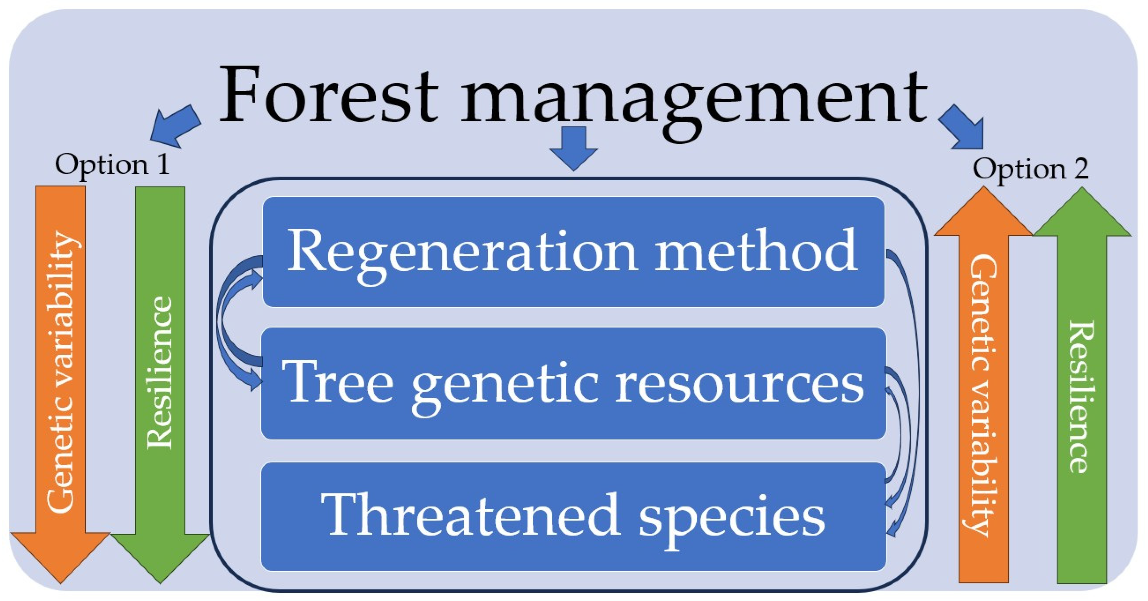 Effects of Forestry Transformation on the Genetic Level of Biodiversity ...