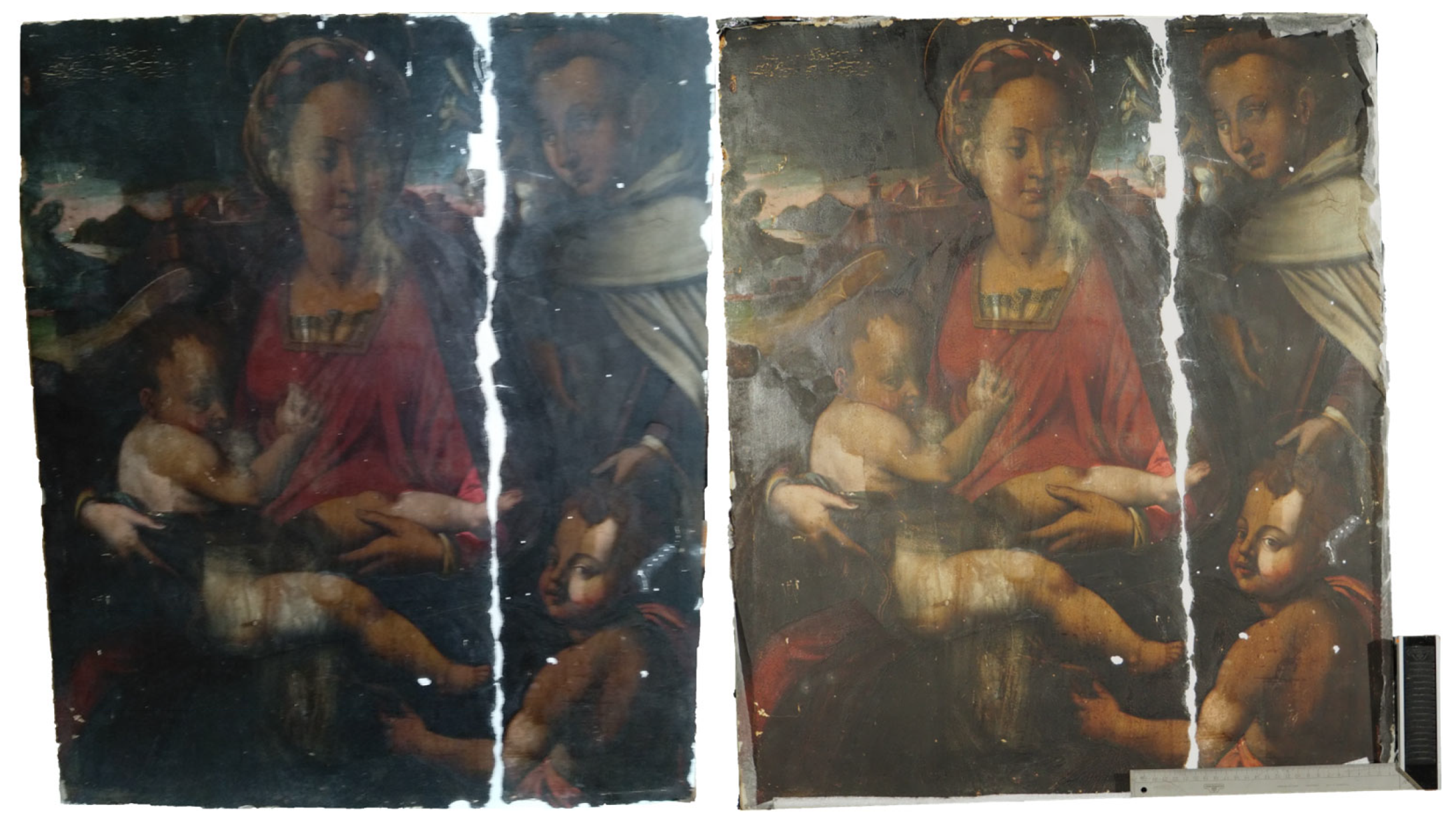 Viscoelastic Behaviour of a Sixteenth-Century Panel Painting ...
