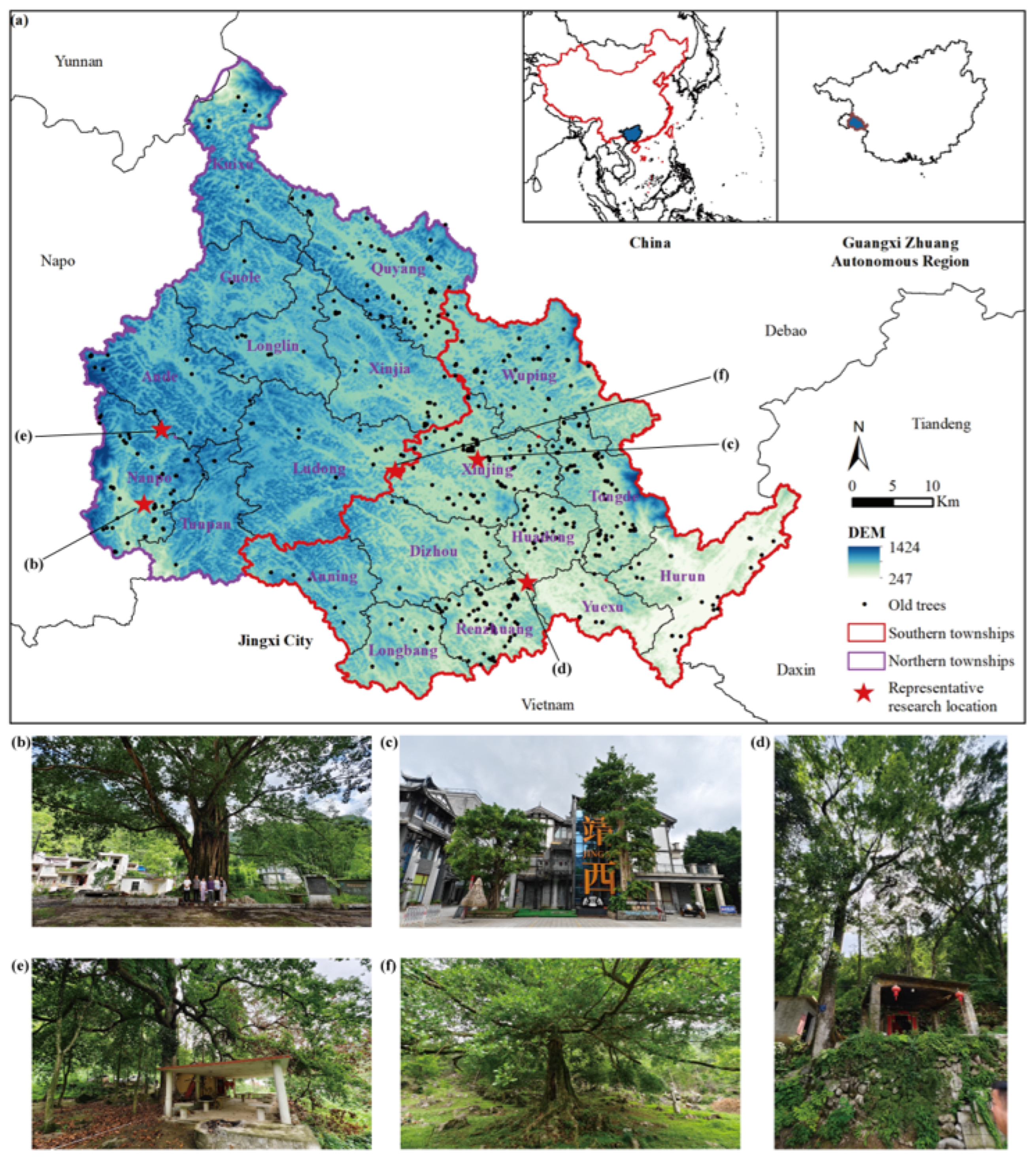 Cultural Diversity Contributions of Conserving Old Trees in Human ...