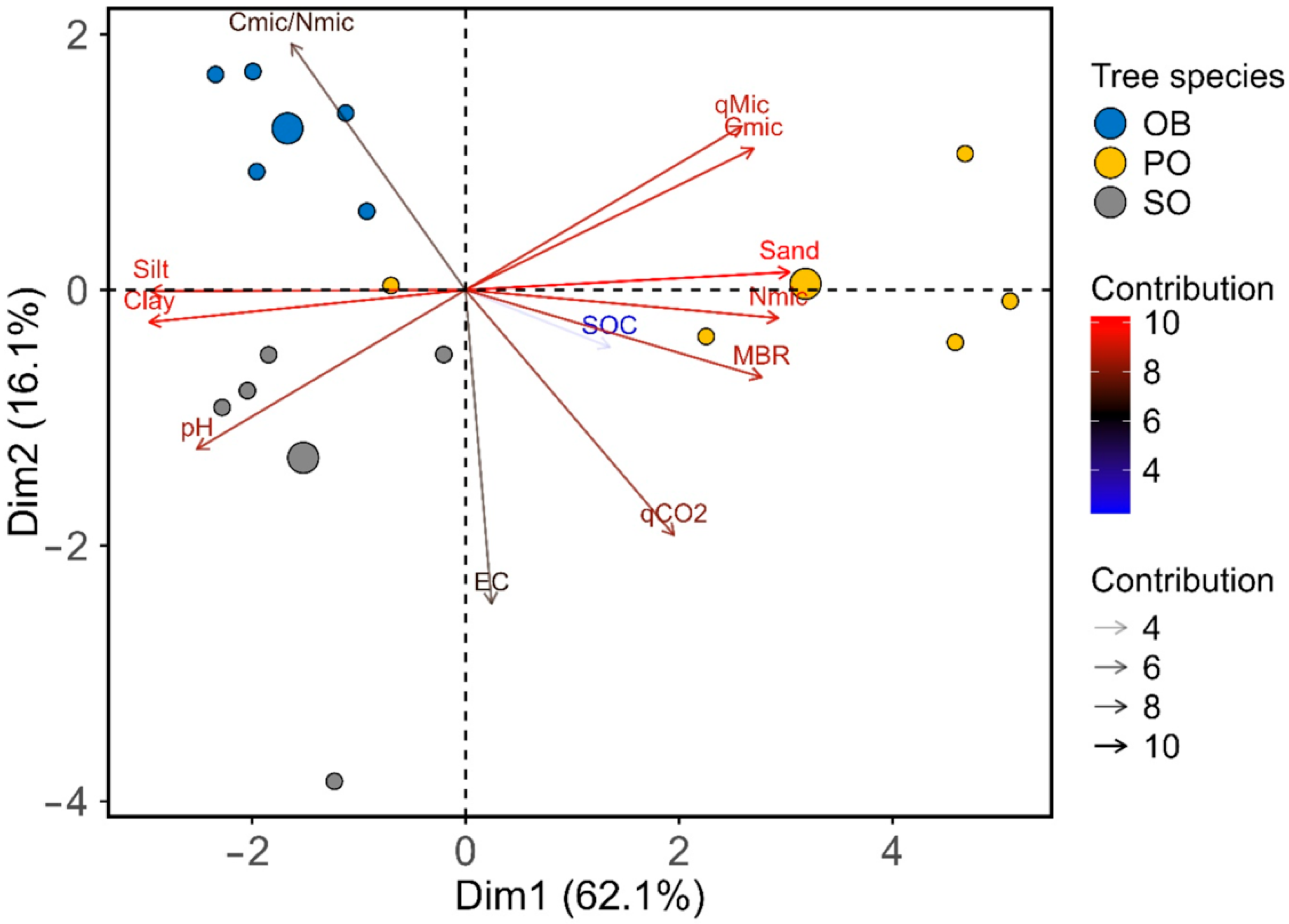 Soil Physicochemical and Biochemical Differentiation Under Dominant ...