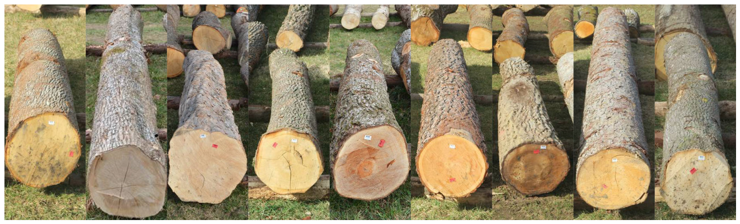 Evaluation of Deep Learning Models for Image-Based Classification of ...