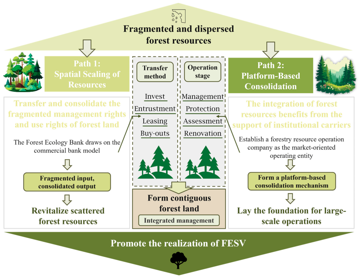 Realizing Forest Ecosystem Service Value Through Natural Resource Asset ...