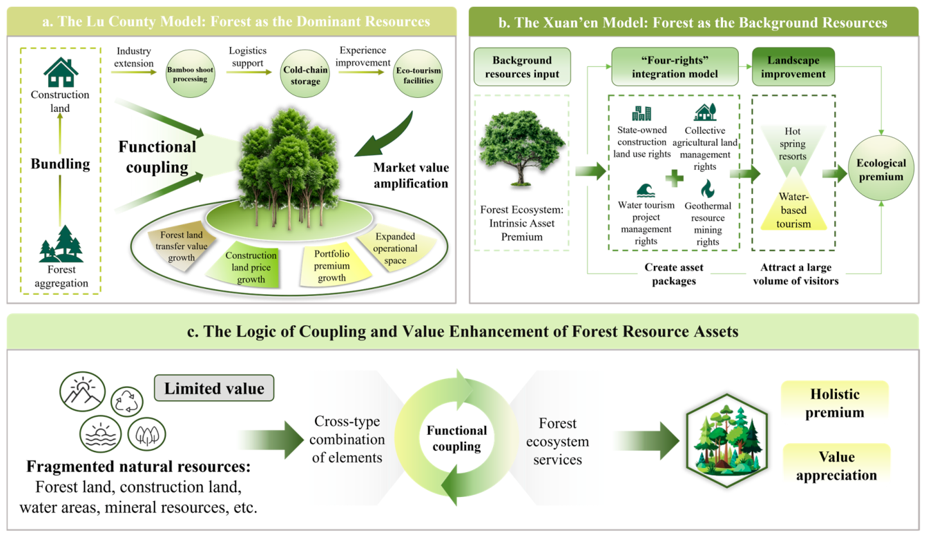 Realizing Forest Ecosystem Service Value Through Natural Resource Asset ...