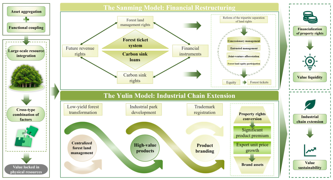 Realizing Forest Ecosystem Service Value Through Natural Resource Asset ...