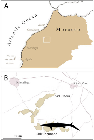 Fossils | An Open Access Journal from MDPI