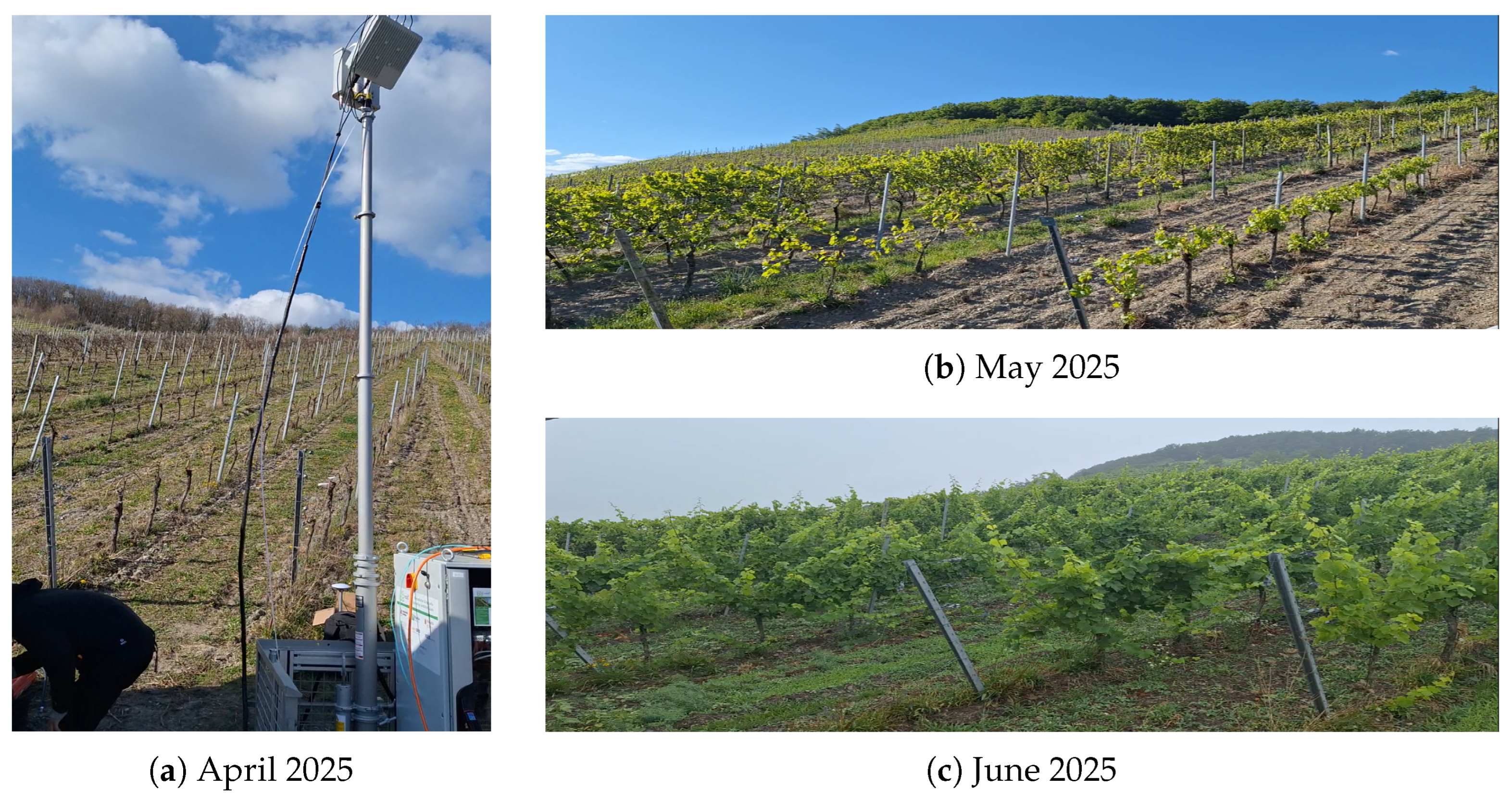 Explaining Seasonal 5G Path Loss in a Vineyard: From Empirical Models ...