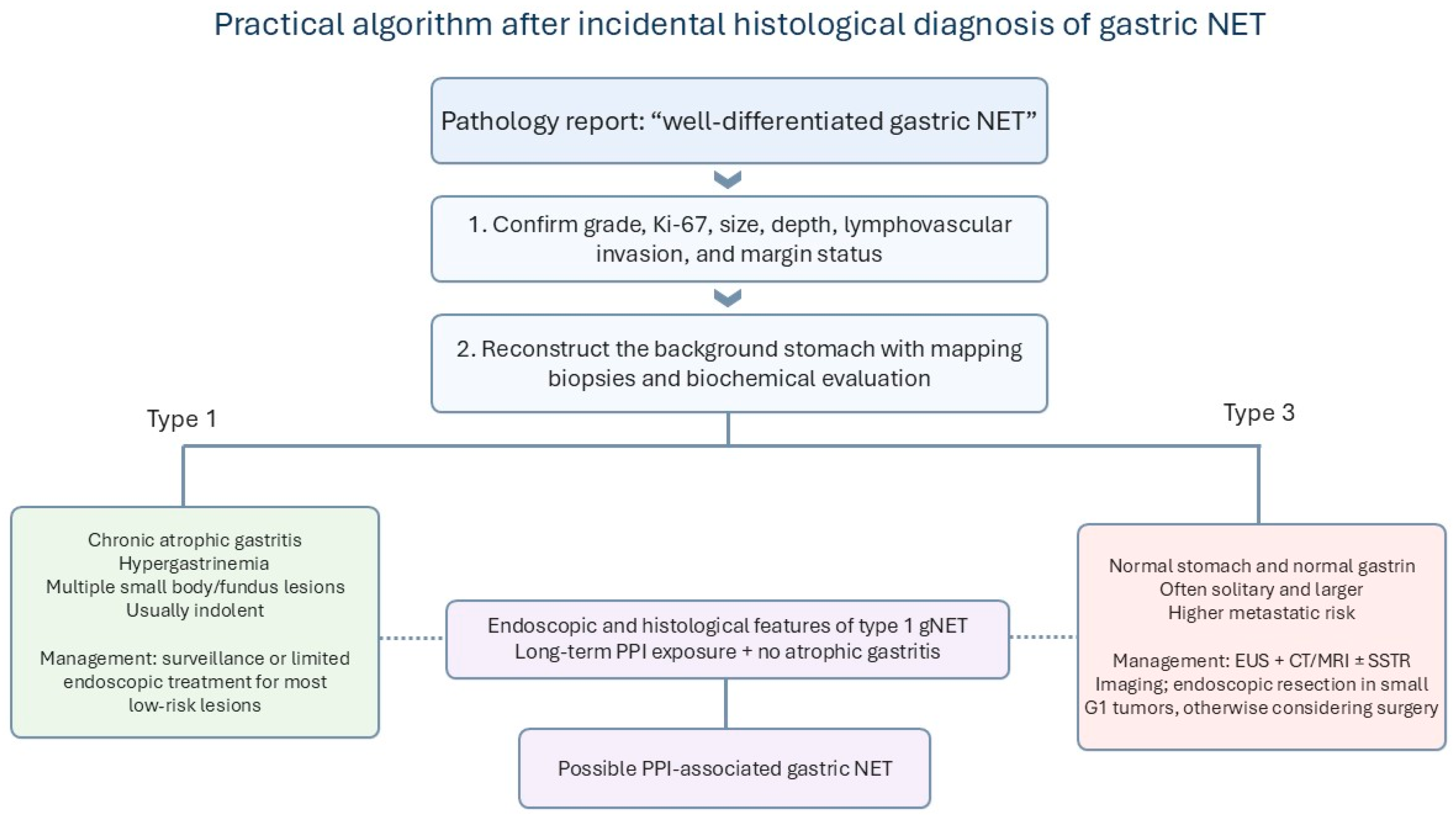 Incidental Gastric Neuroendocrine Tumor on Histology: What Should the ...