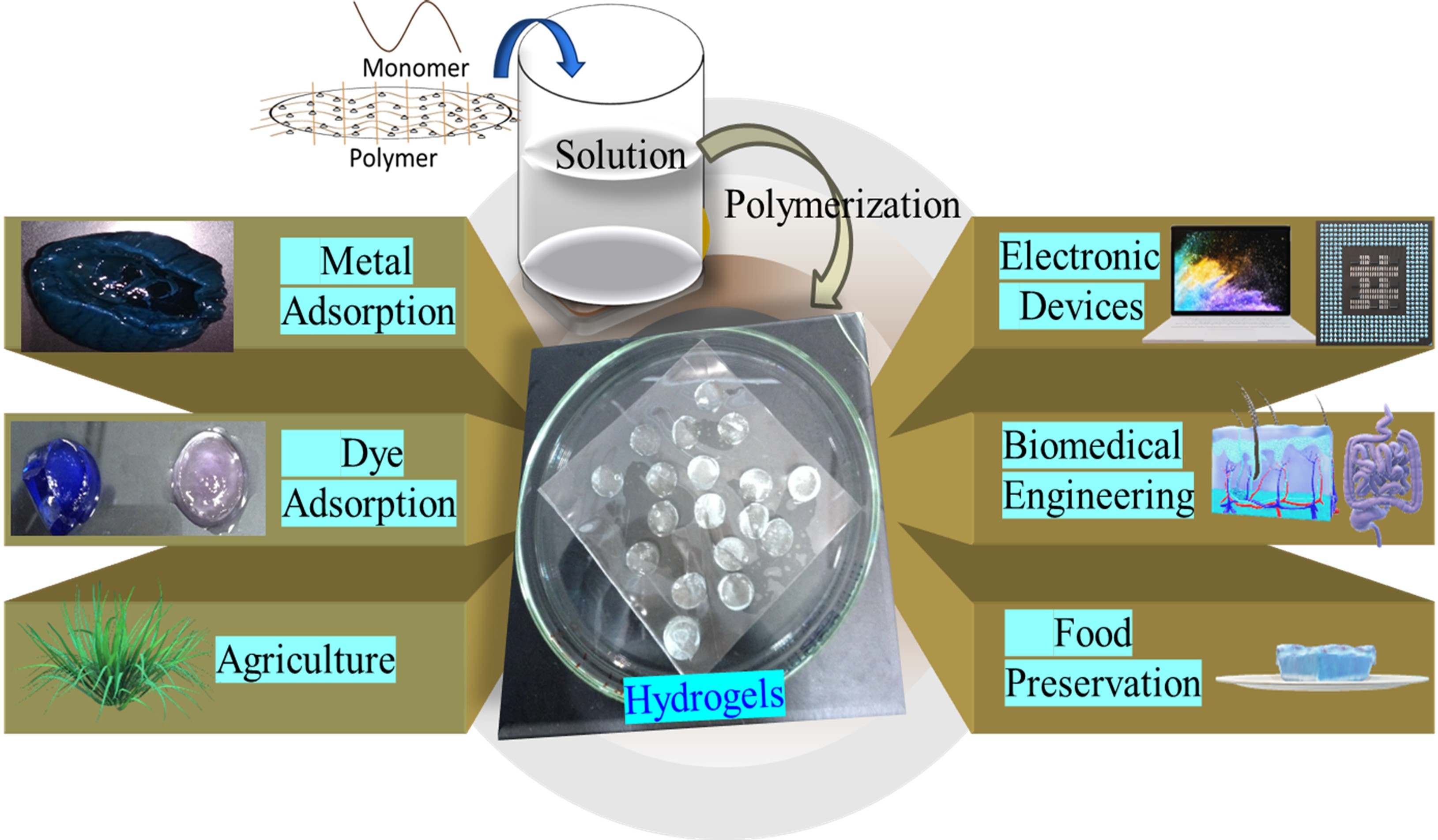 Preparation of Hydrogel by Crosslinking and Multi-Dimensional Applications