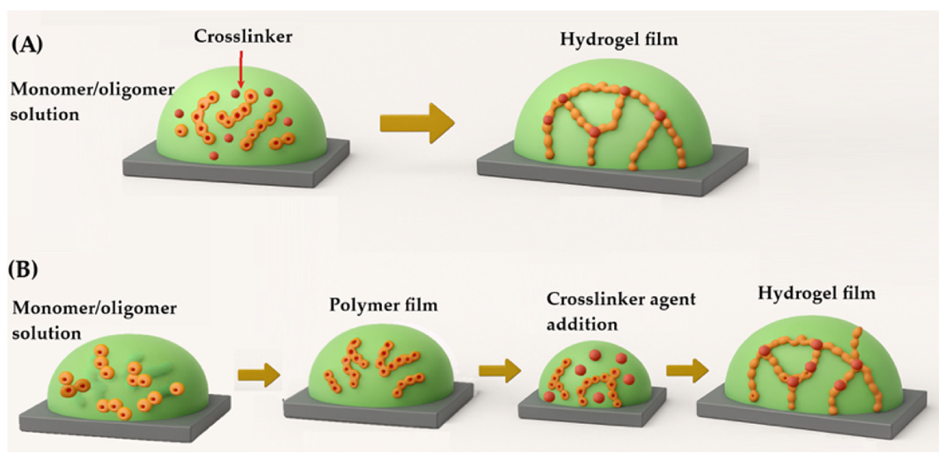 Hydrogel Films in Biomedical Applications: Fabrication, Properties and ...