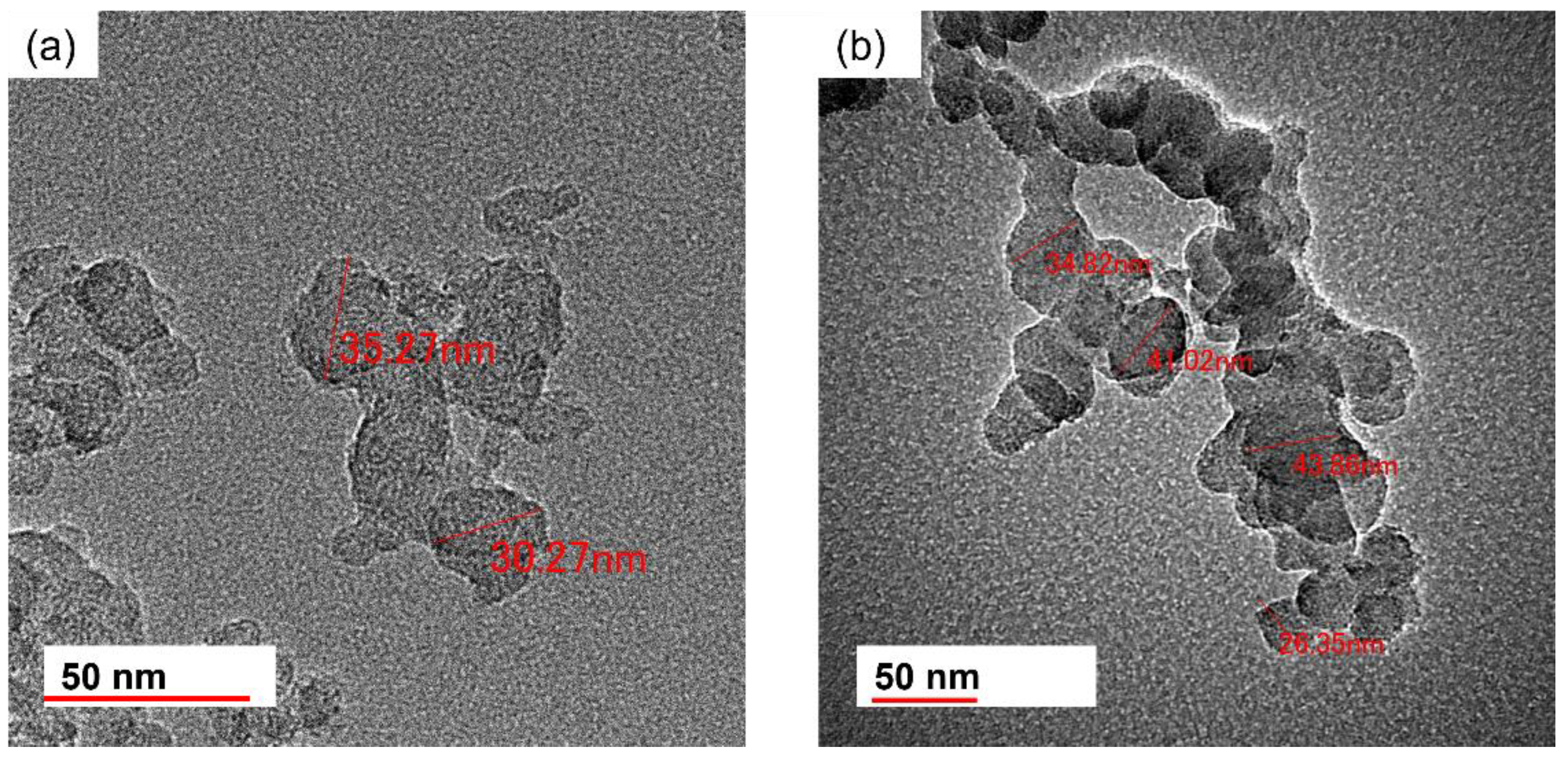 Synthesis and Evaluation of Carbon Black-Containing Hydrogels for the Adsorption of 5-Fluorouracil