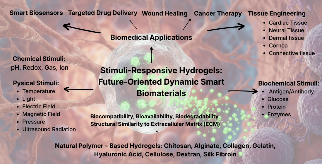 Biocompatible Stimuli-Sensitive Natural Hydrogels: Recent Advances in ...