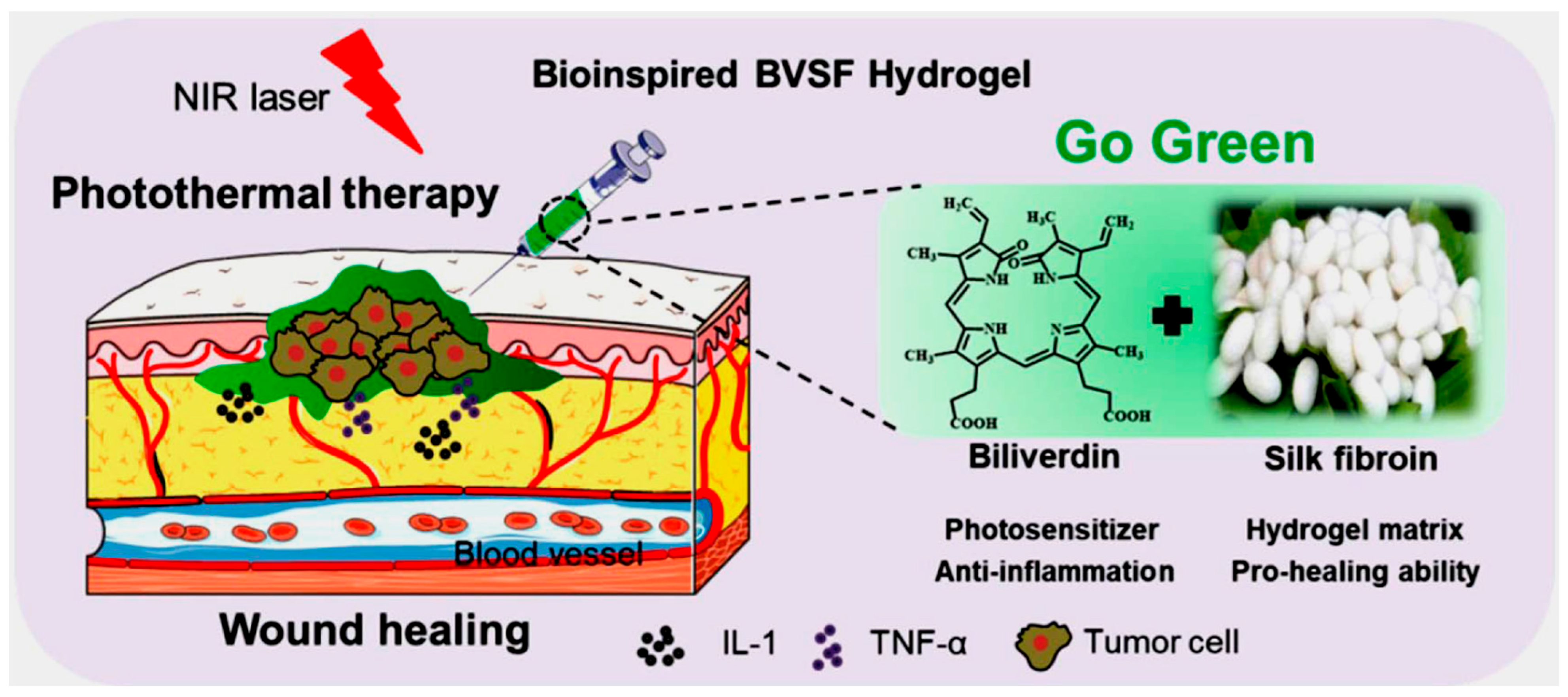 Biocompatible Stimuli-Sensitive Natural Hydrogels: Recent Advances in ...