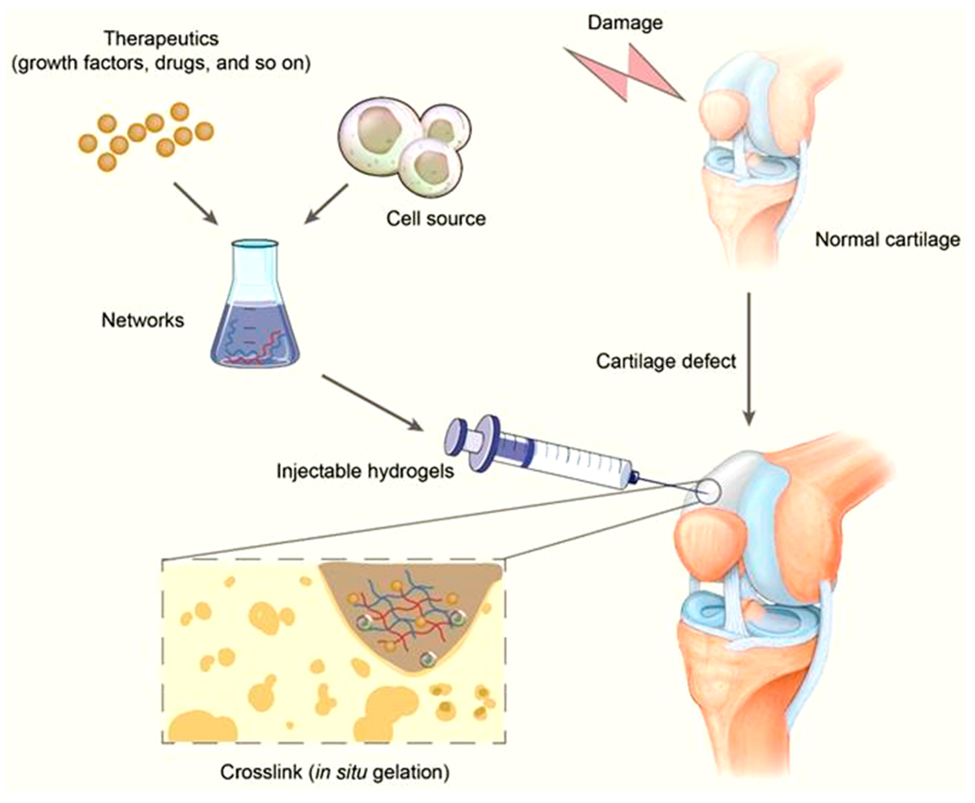 Biocompatible Stimuli-Sensitive Natural Hydrogels: Recent Advances in ...